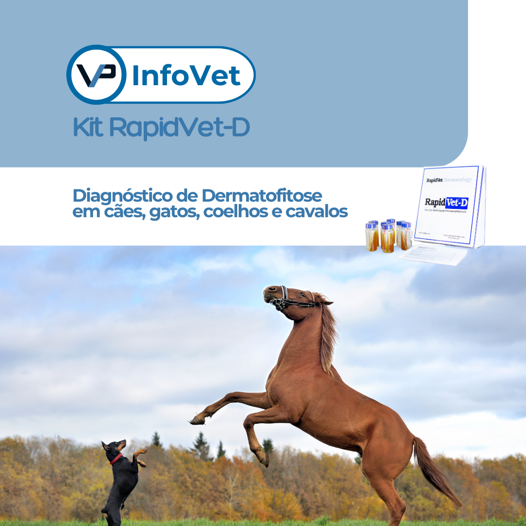 InfoVet – Kit RapidVet-D – VP Diagnóstico