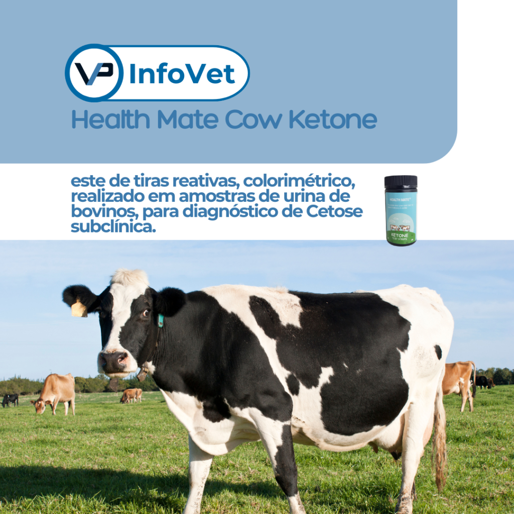 InfoVet – Health Mate Cow Ketone (cetose subclínica) – VP Diagnóstico